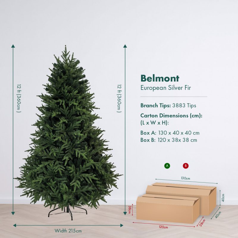 Belmont European Silver Fir Christmas Tree | Masons Home Decor